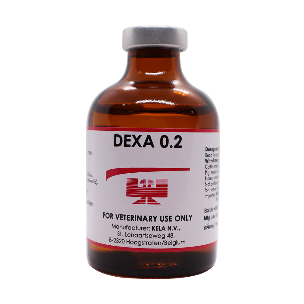 DEXA 0.2 ເດັກຊ້າ 0.2 - BCI